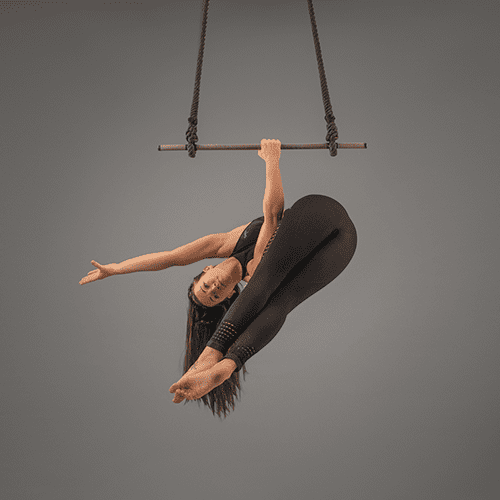 Static Trapeze | Addictive Fitness